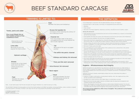 Beef Standard Carcase Poster – AUS-MEAT Limited